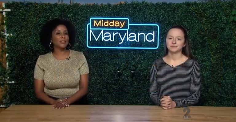 Pedestrian Safety on Midday Maryland - Maryland TraumaNET